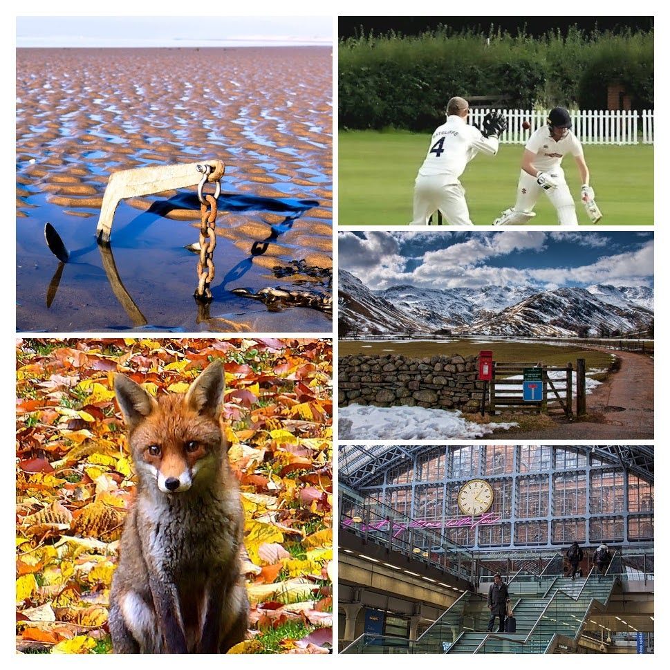 Best Weather Photos of 2019 ...