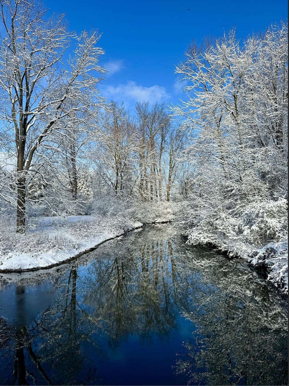 Photo of the Week 11th December 2023