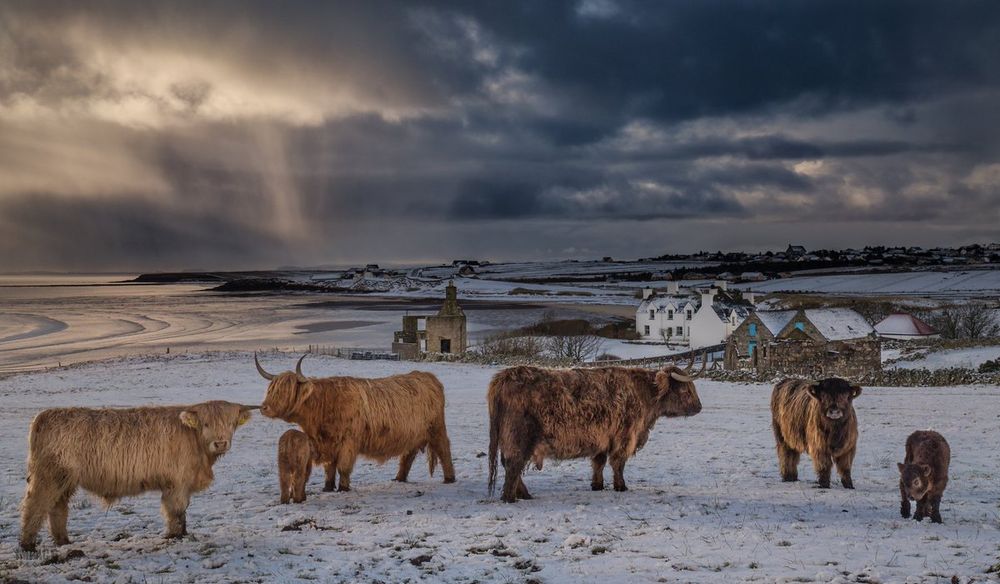 Best Weather Photos of 2019