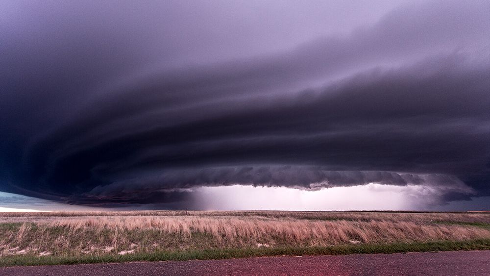 Featured Photographer Maurizio Signani