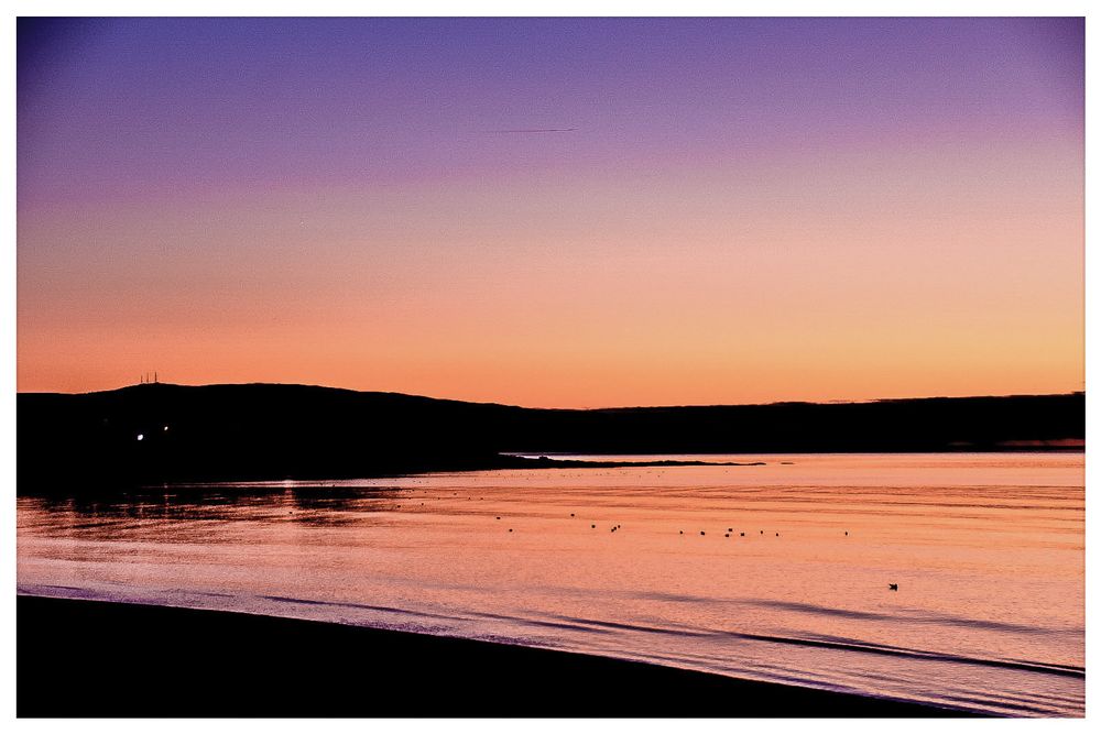 Photo of the Month July 2021 Results