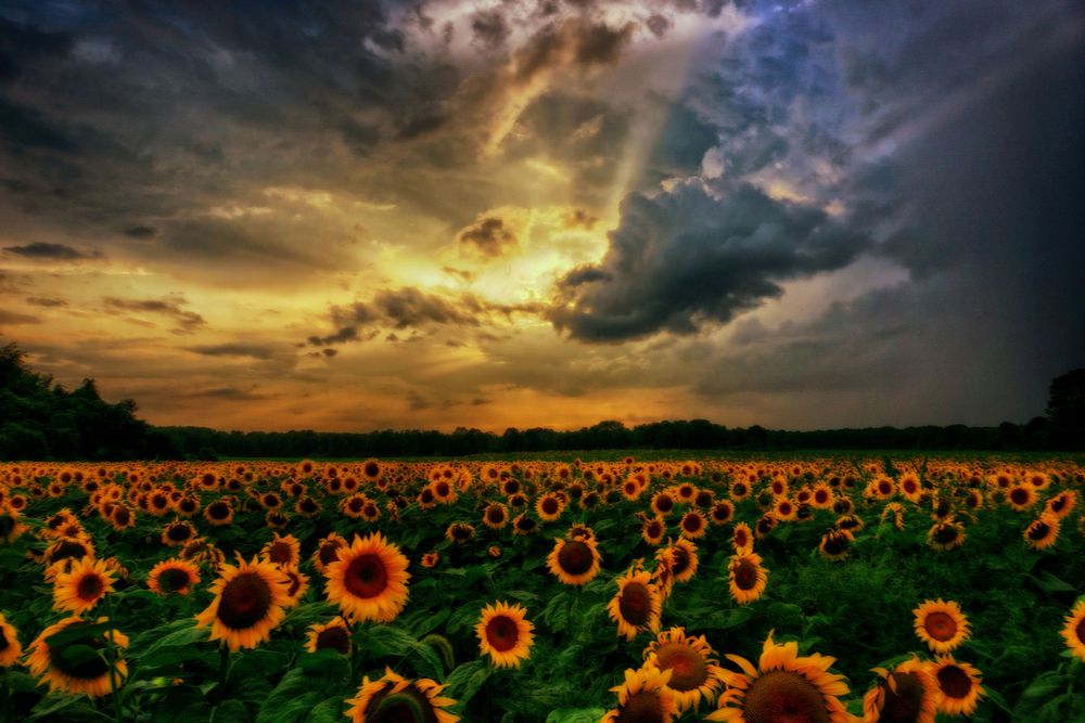 Featured Photographer Mark Hopper