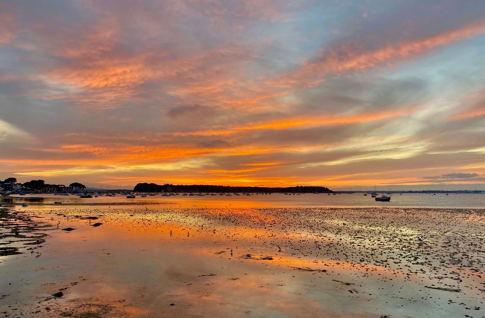 Photo of the Month September 2021 Results