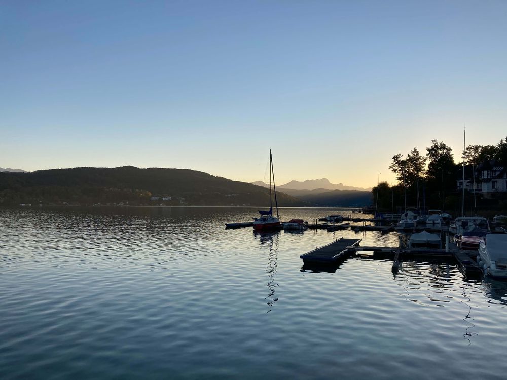 Photo of the Month October 2021 Results