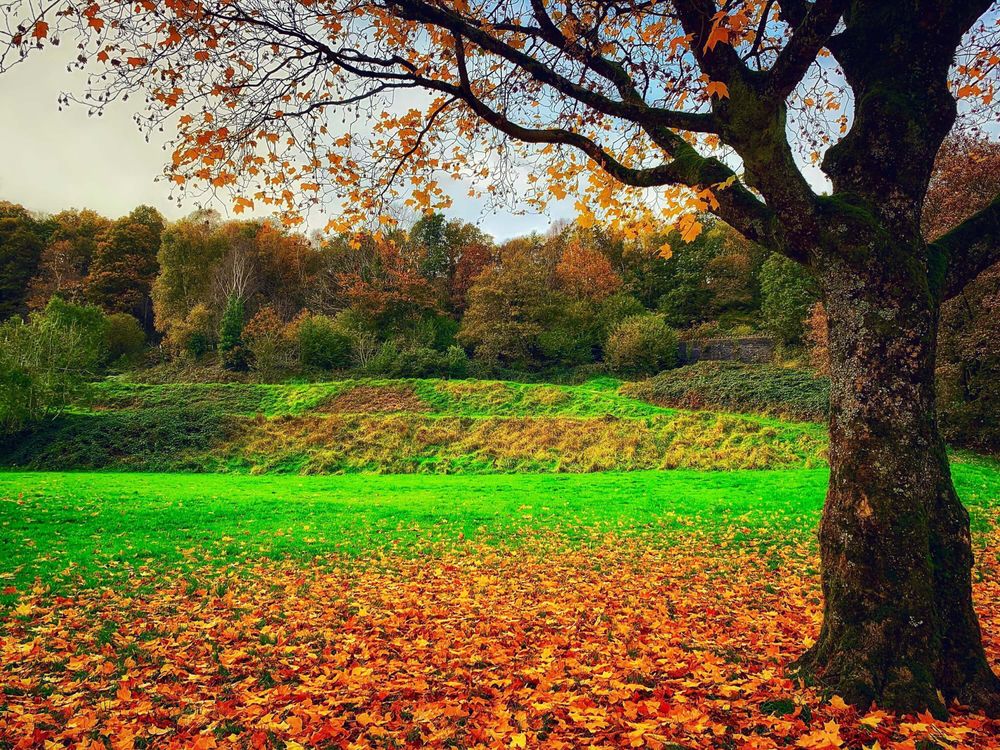 Photo of the Month October 2021 Results