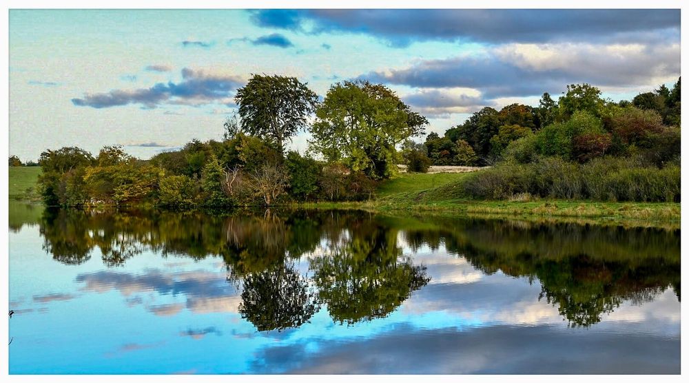 Photo of the Month October 2021 Results