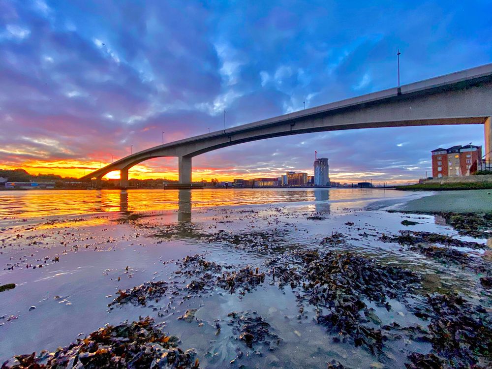 Photo of the Month October 2021 Results