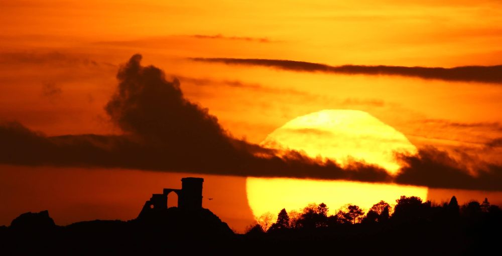 Photo of the Month October 2021 Results