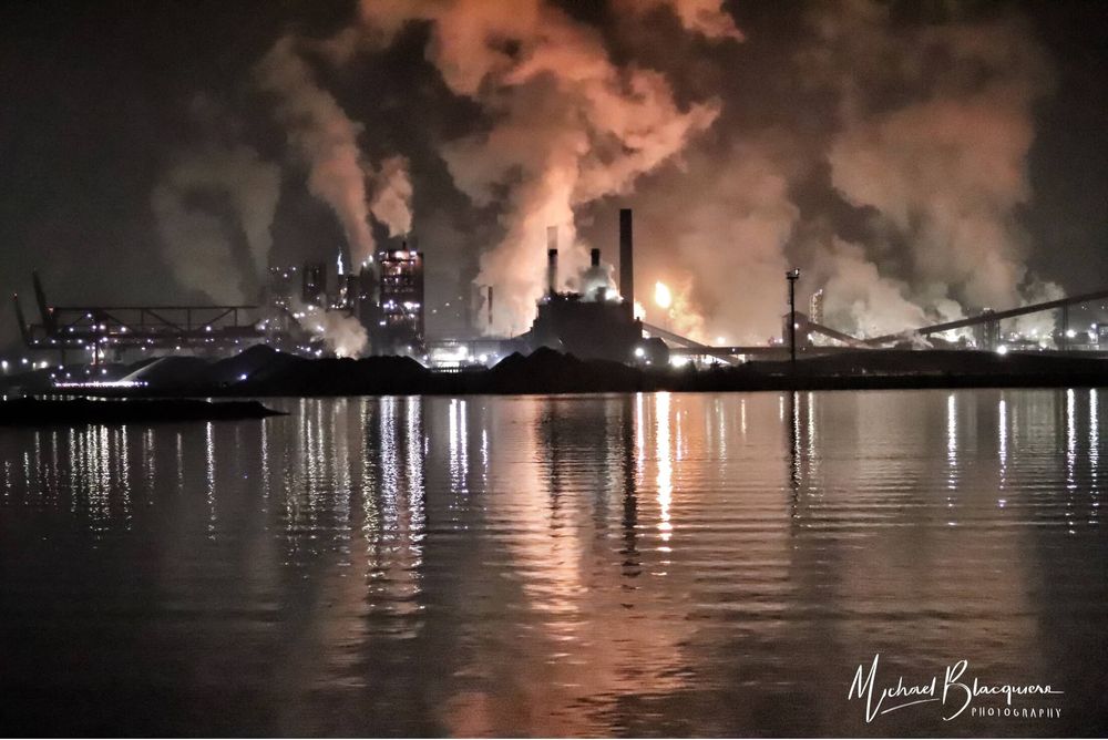 Photo of the Month November 2021 Results