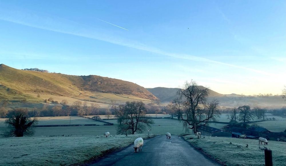 Photo of the Month January 2022 Results