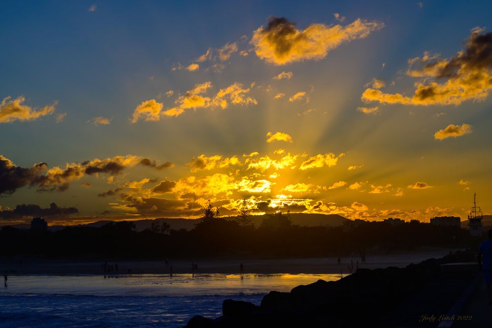 Photo of the Month January 2022 Results ...