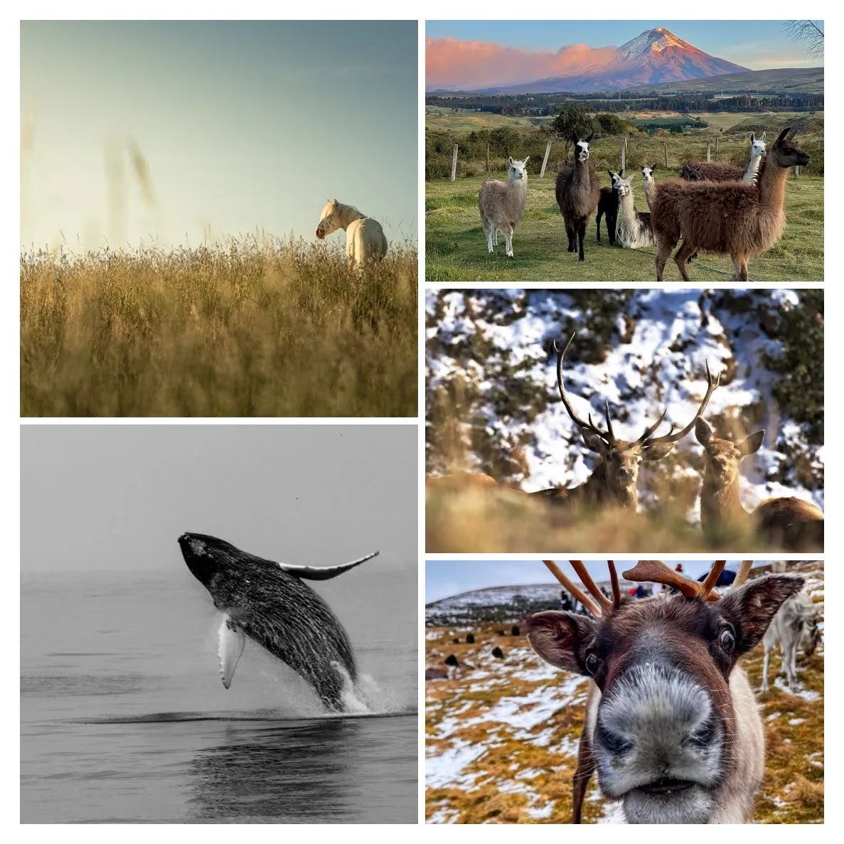 Meteorologist Featured Meteorologist Jeff ...