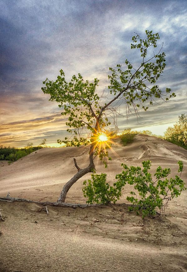 Featured Photographer Mark Hopper