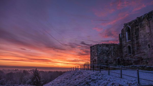 Photo of the Month December 2021 Results