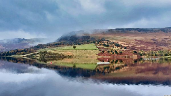 Photo of the Month February 2022 Results