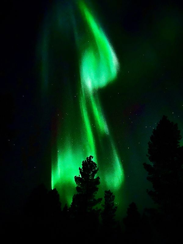 Photo of the Month March 2022 Results