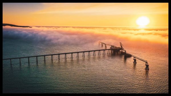 August 2022 Photo of the Month Competition