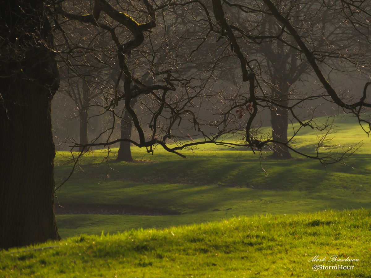 Featured Meteorologist Zach Maloch ...