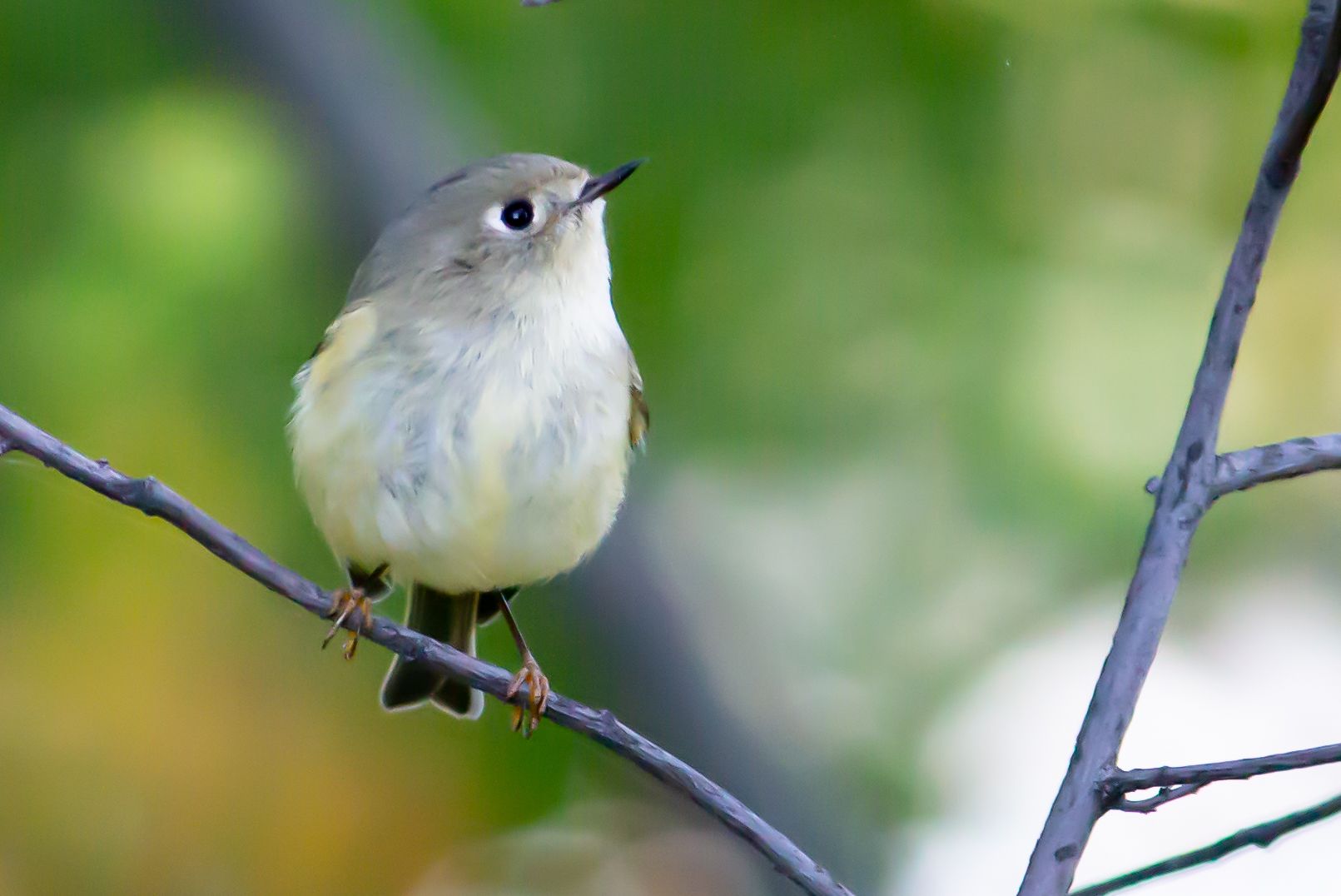 Featured Meteorologist Zach Maloch ...