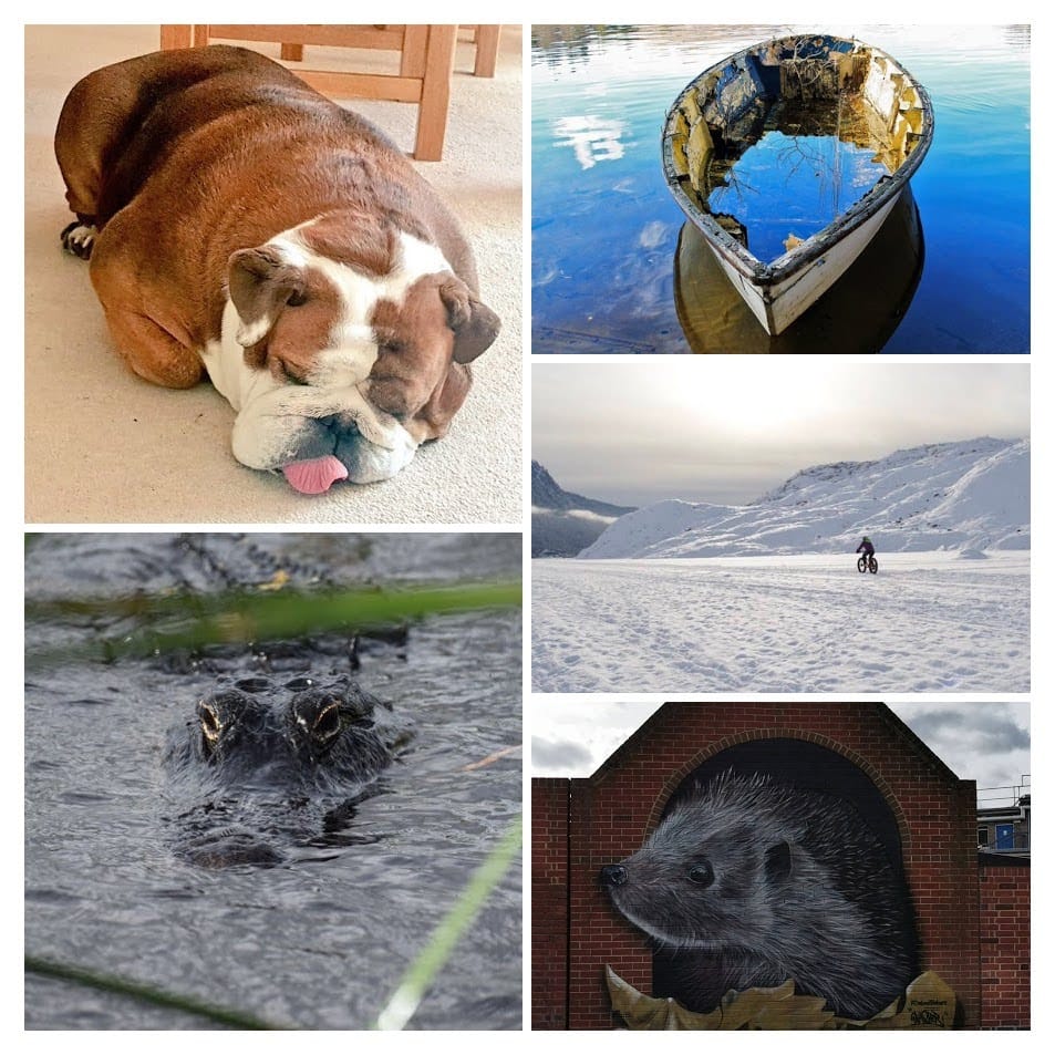 Featured Meteorologist Greg Postel ...