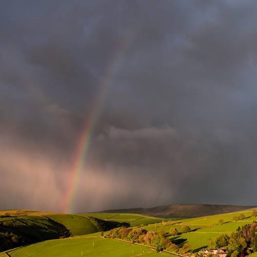 Five Facts About : Rainbows