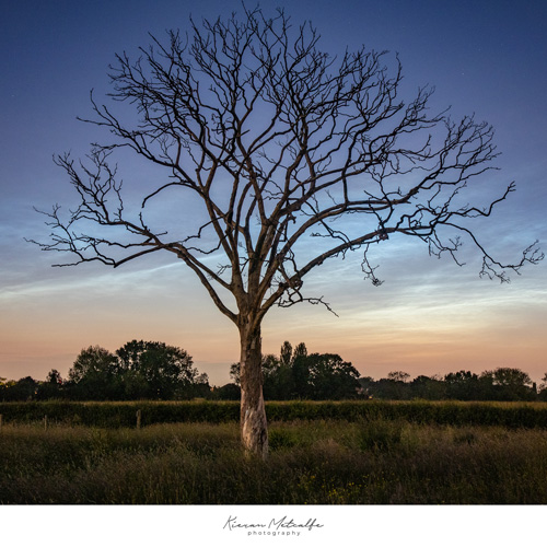 Meet Matt Hoenig, CBS 13 Portland Meteorologist